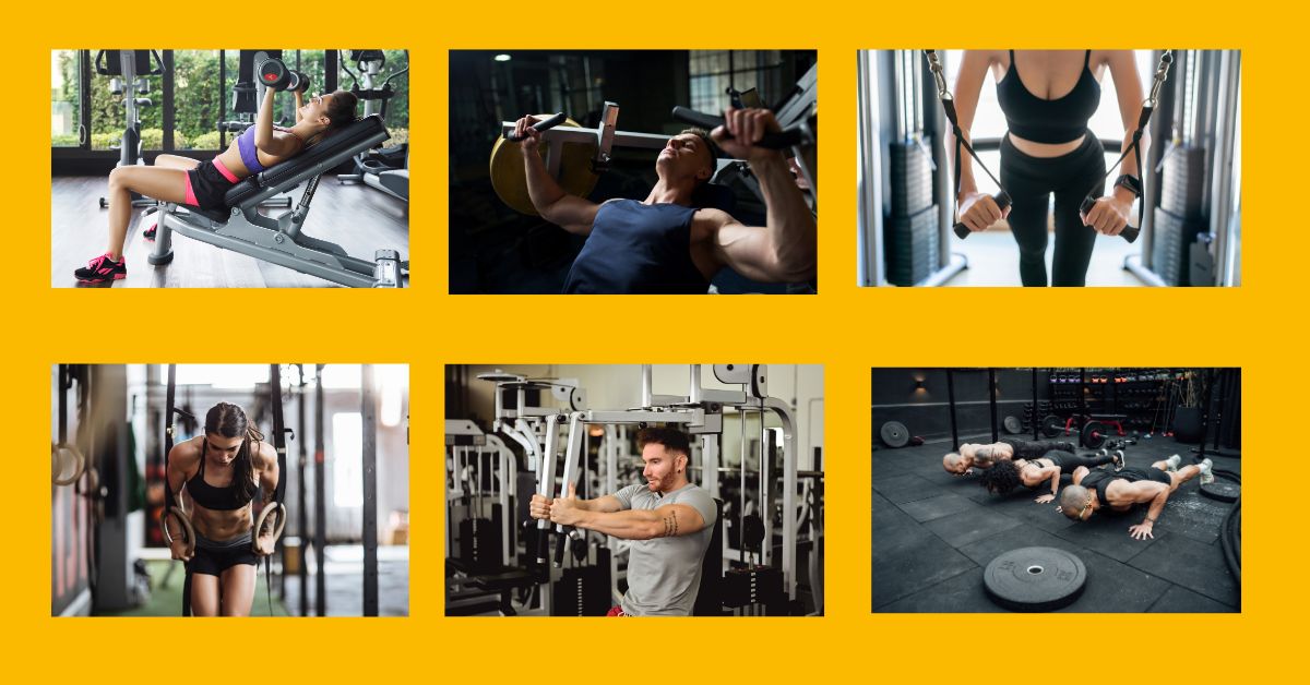 Rutina de 5 días para entrenar y definir cada parte del cuerpo ...