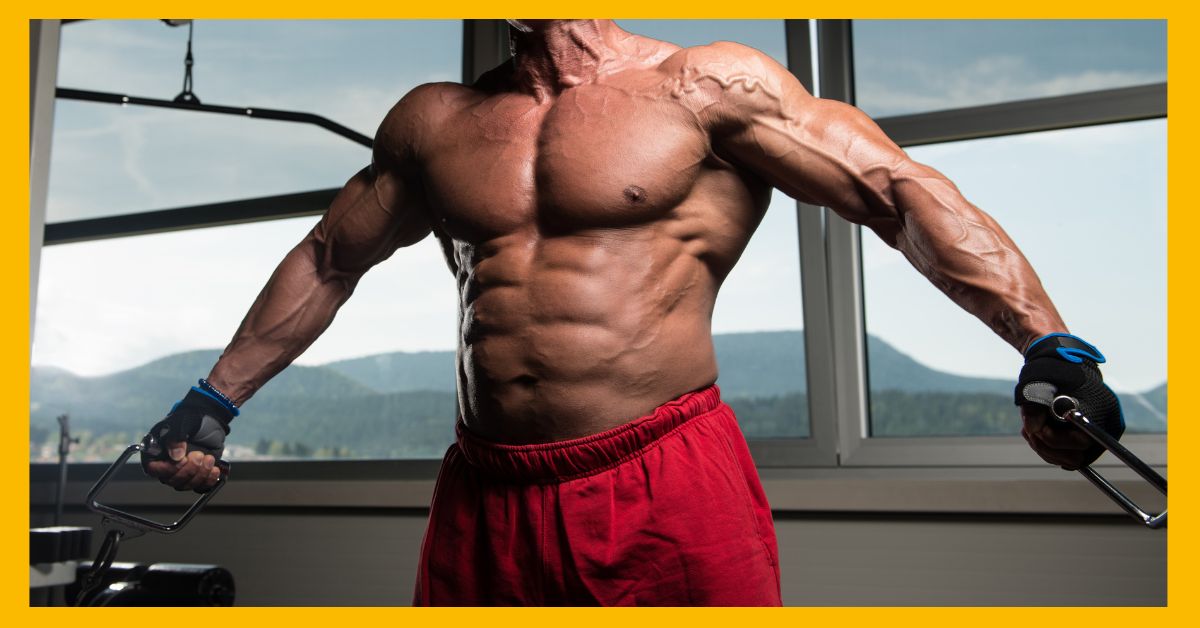 Rutina dividida de 12 semanas para lograr masa muscular - Conecta Fit