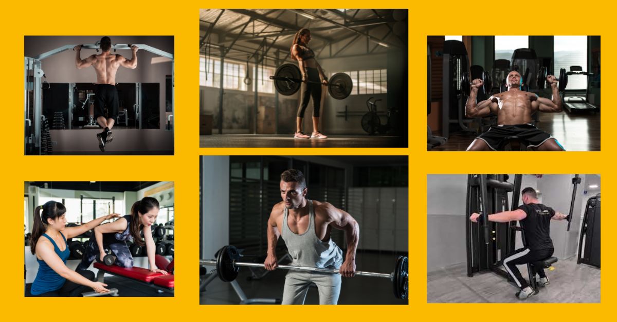Rutina de fuerza de 6 días de push/pull/leg (PPL) - Conecta Fit